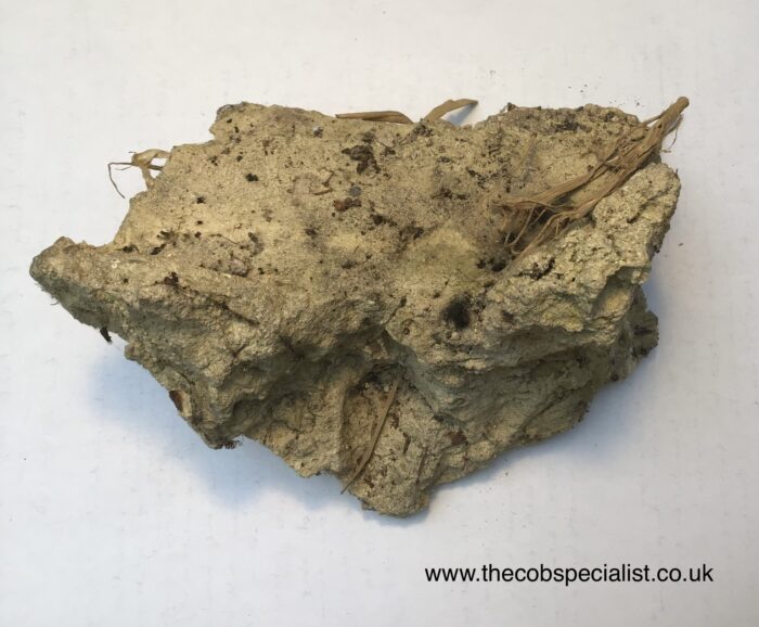 Moisture within Cob Walling - The Cob Specialist