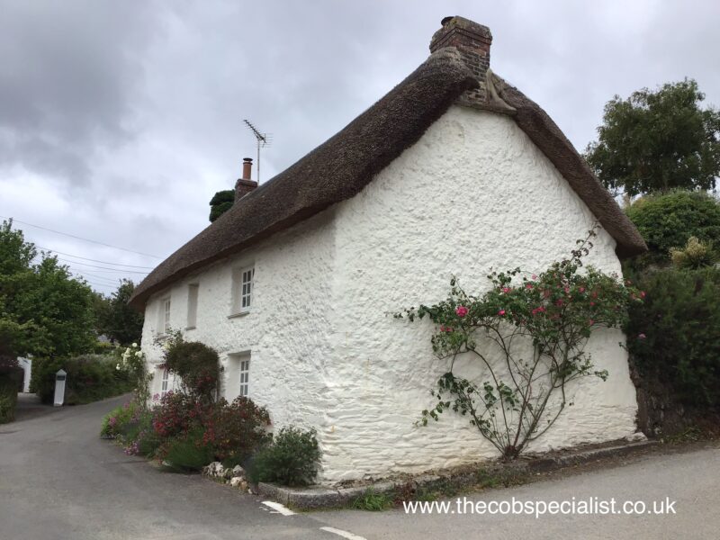 Cob Surveys - Part 1 - Where cob meets stone - The Cob Specialist
